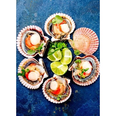 Mariscos - Don Camarón